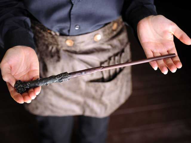 The Ultimate Power: Harry Potter and the Significance of Wands – My Store